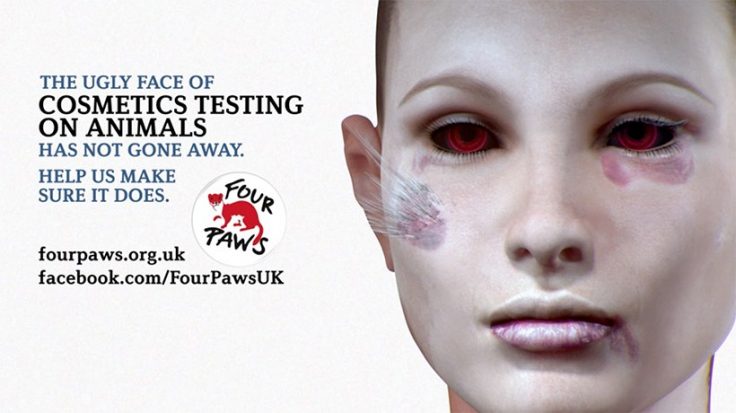 UP : Campaign video for Four Paws